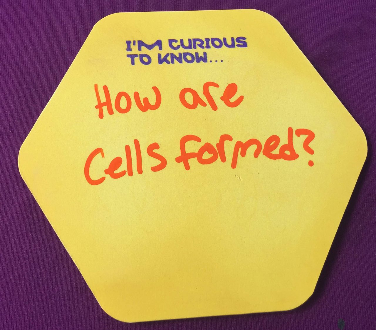 Breakthroughs begin with The Curiosity Cube | Breakthroughs begin with ...